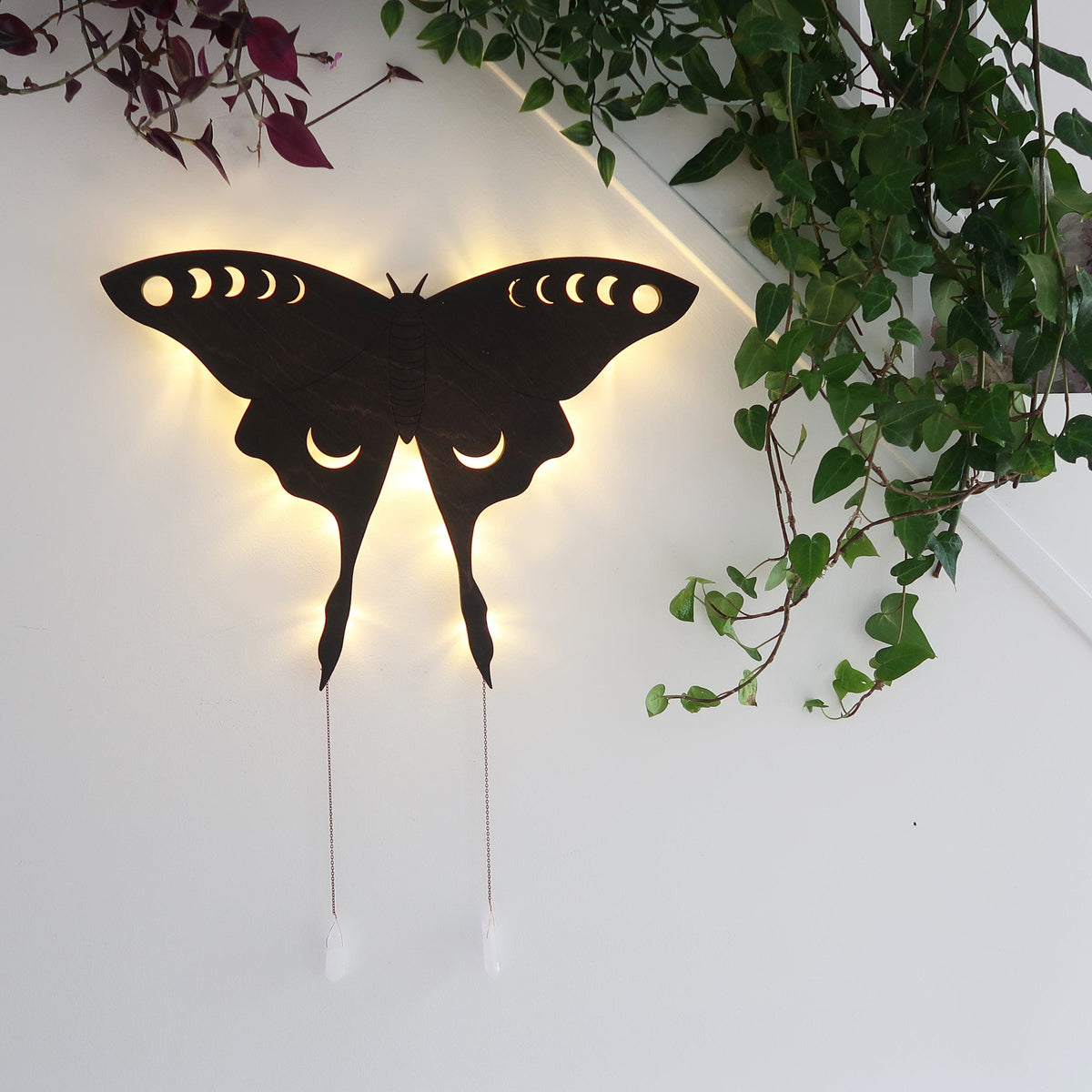 Luna Moth Wooden Wall Lamp – Coppermoon