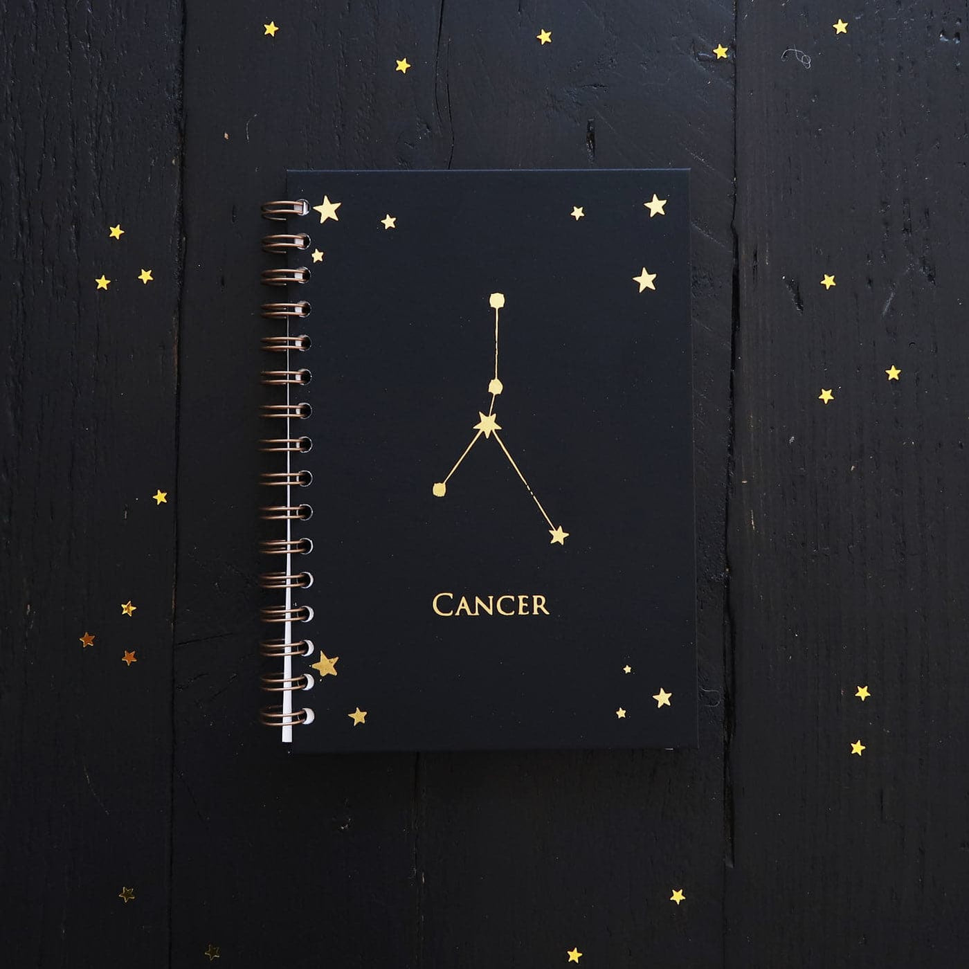 Gold Foil Zodiac Notebook — Coppermoon
